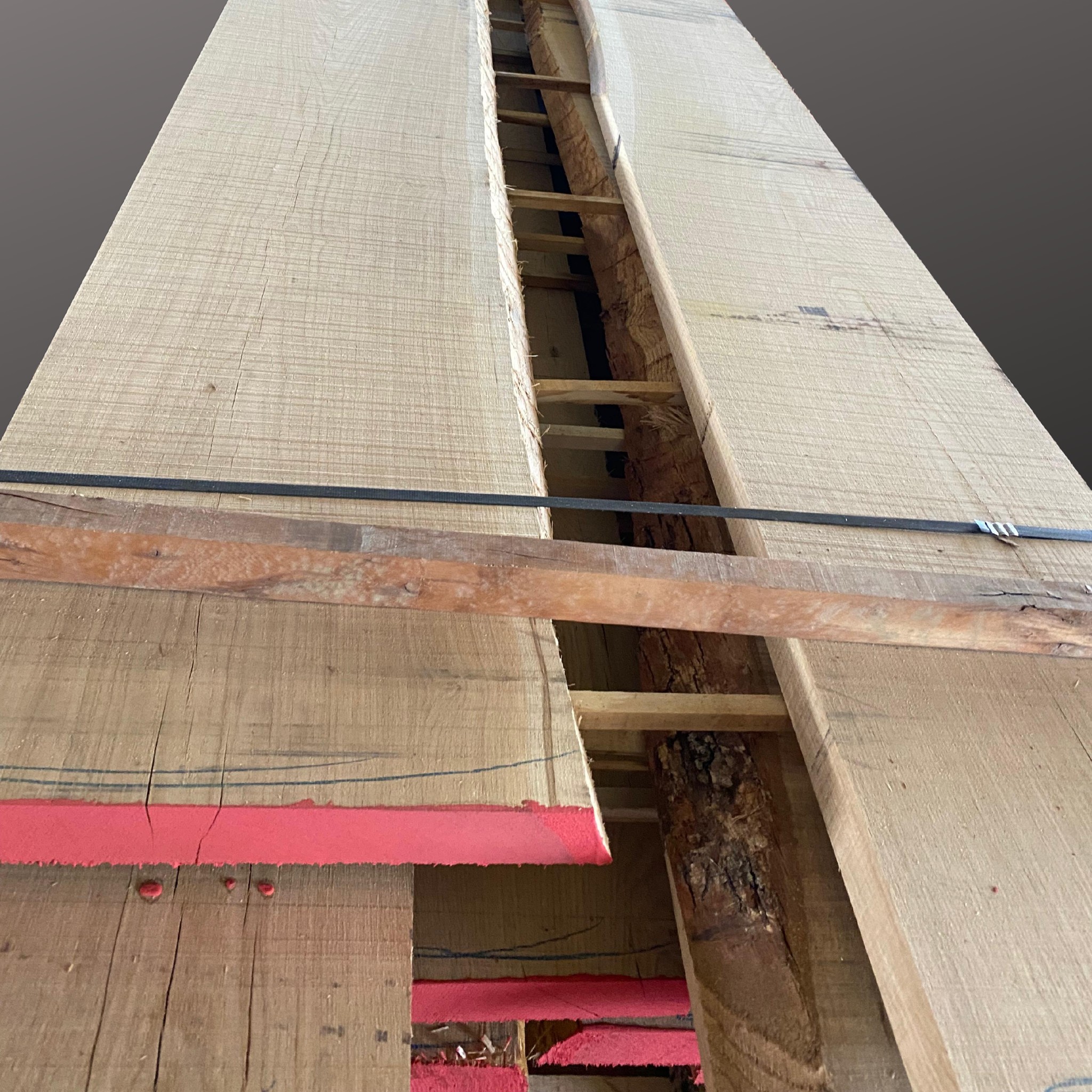 European White Oak unedged – Euroforest
